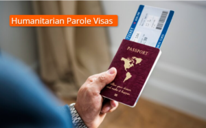 What Are Humanitarian Parole Visas? A Detailed Guide